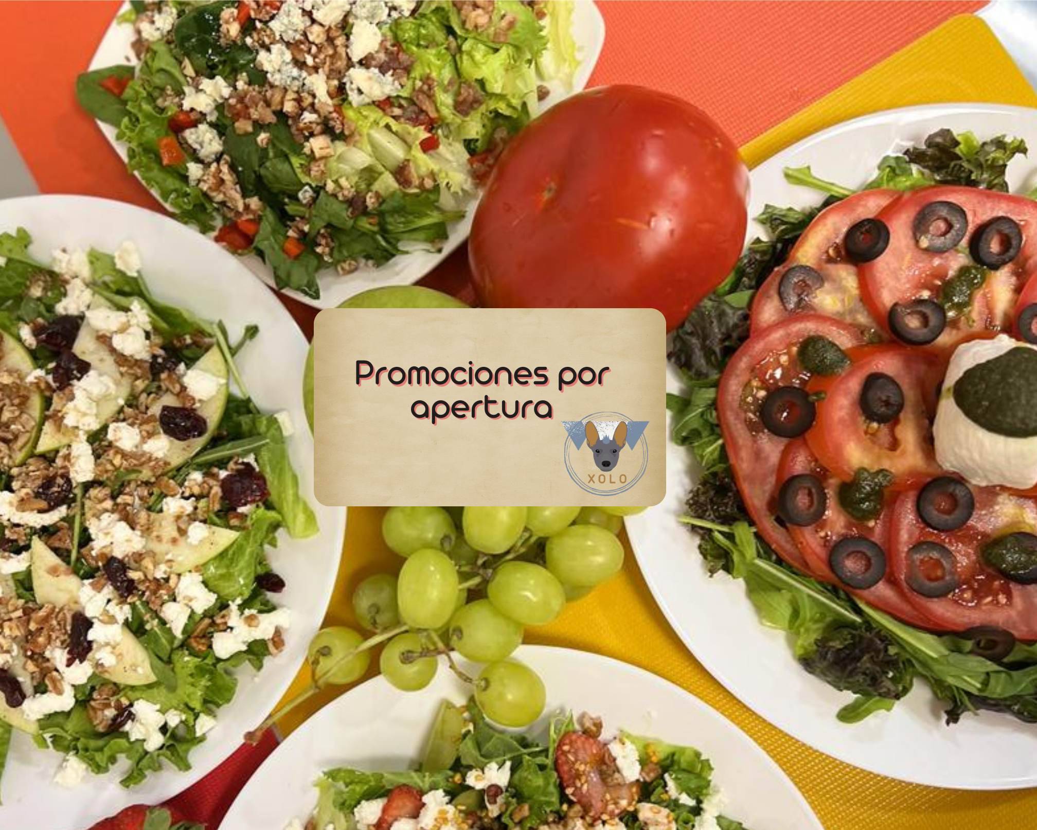 Ensaladas Xolo Menú a Domicilio【Menú y Precios】Ciudad de México | Uber Eats