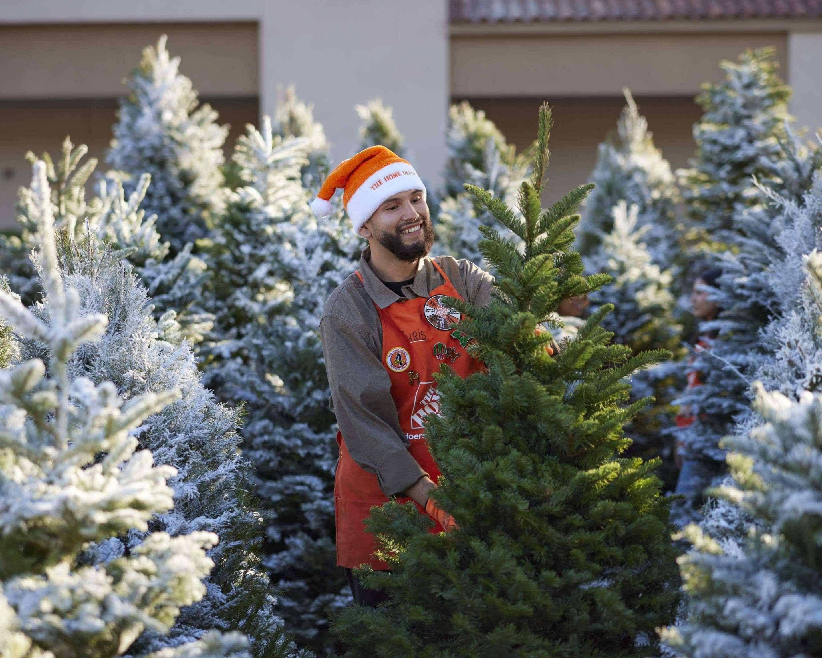 Order Christmas Tree Shop by The Home Depot (3330 Center Road) Menu ...