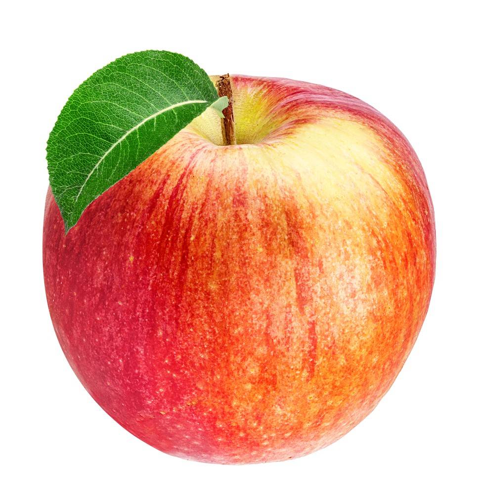 Northern Spy Apples Delivery near me | Order online | Uber Eats
