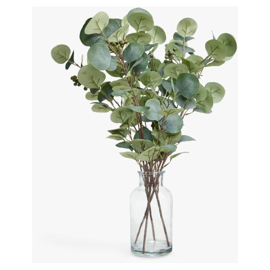 Plants Delivery Near Me Order Online Uber Eats