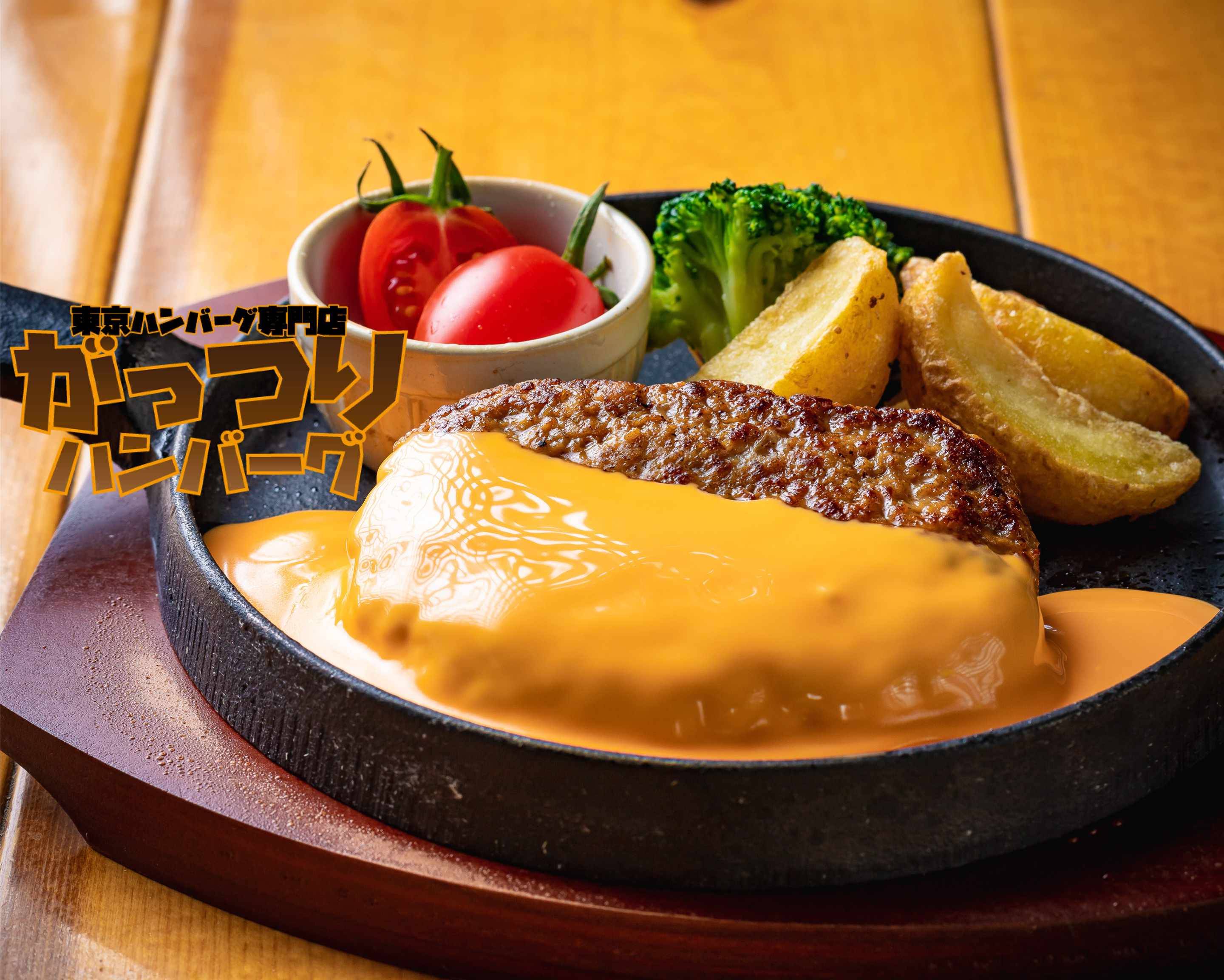 がっつりハンバーグ 松山平和通店Hamburger specialty store hamburger Matsuyama Heiwadori ...