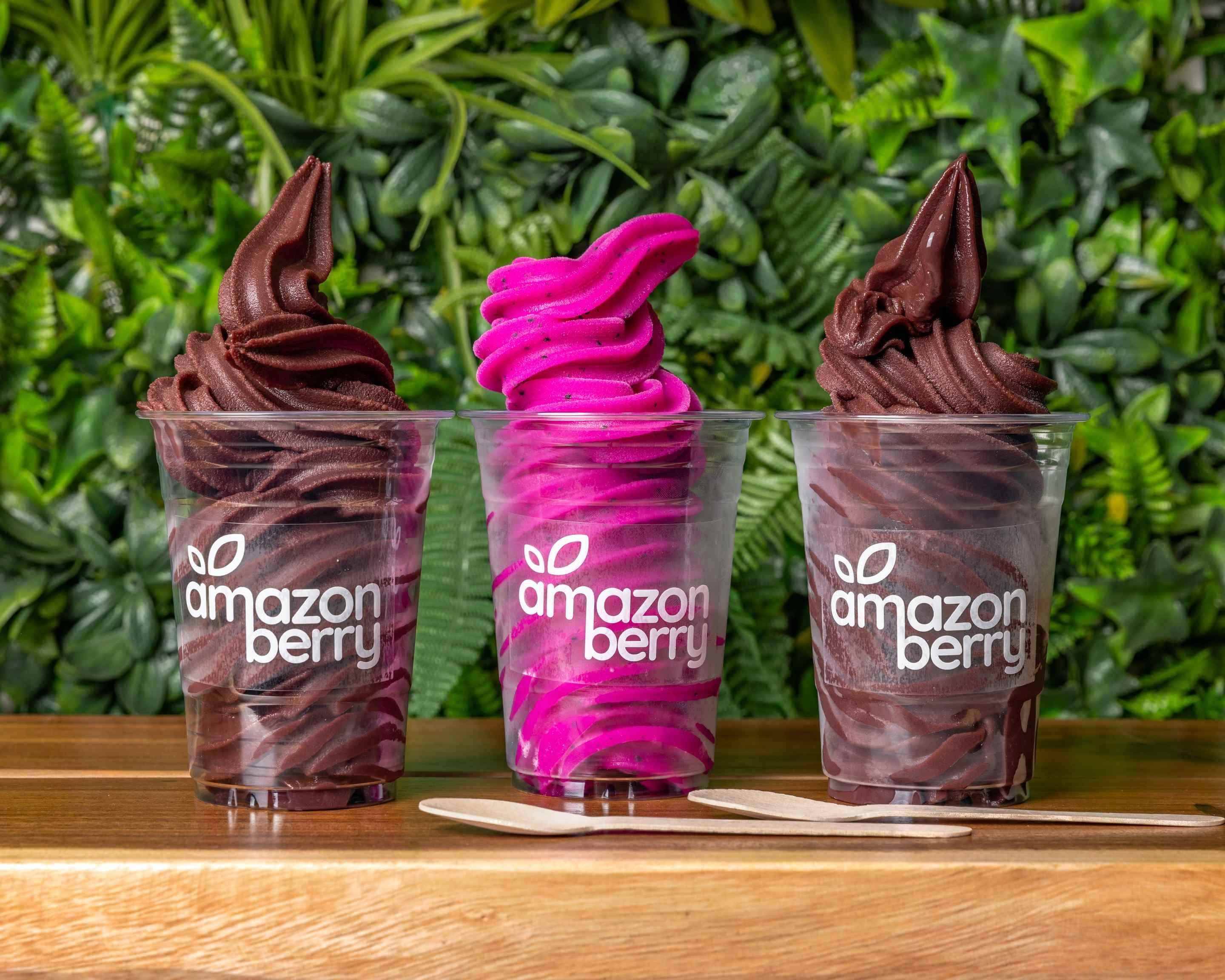 Amazon Berry (Cronulla) Menu Takeout in Sydney | Delivery Menu & Prices ...