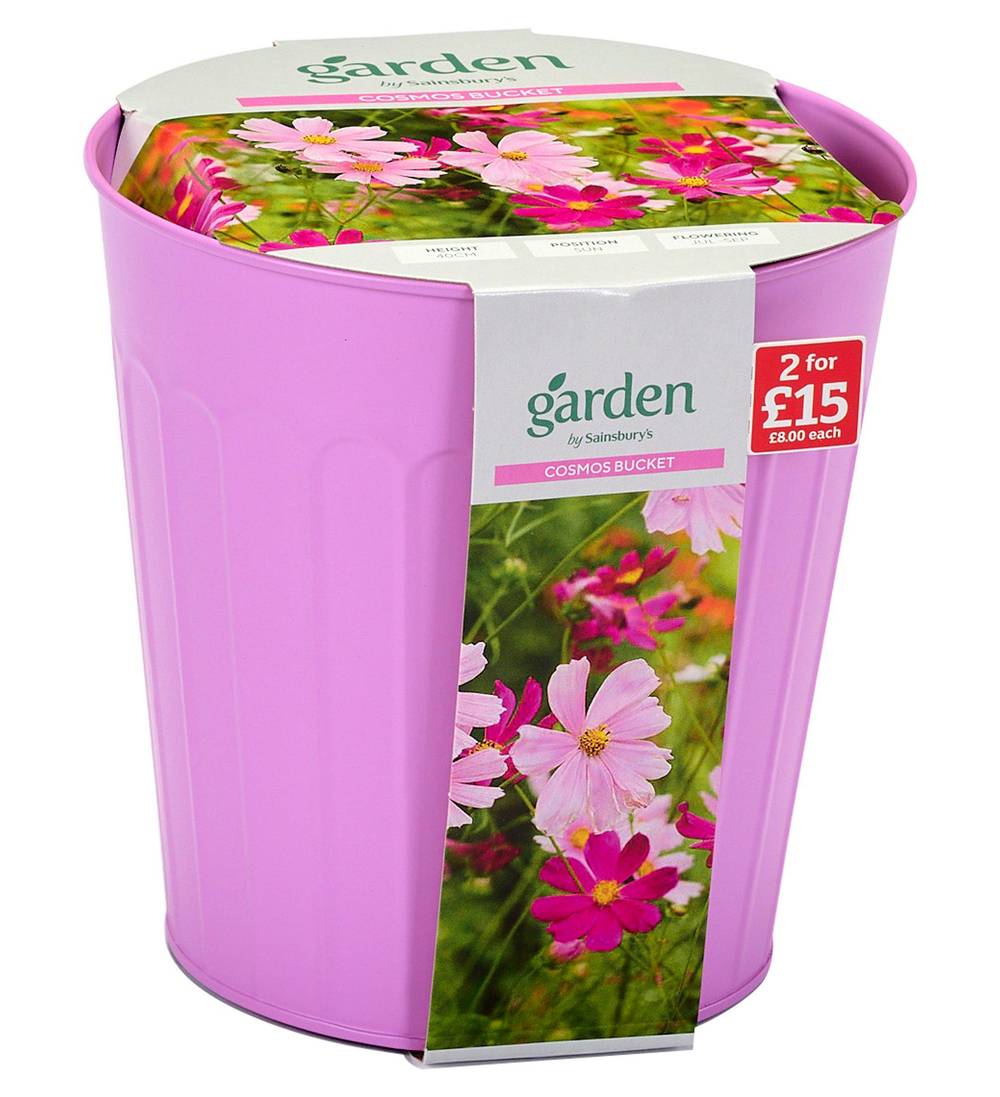 Time buckets Delivery Near Me | Order Online | Uber Eats