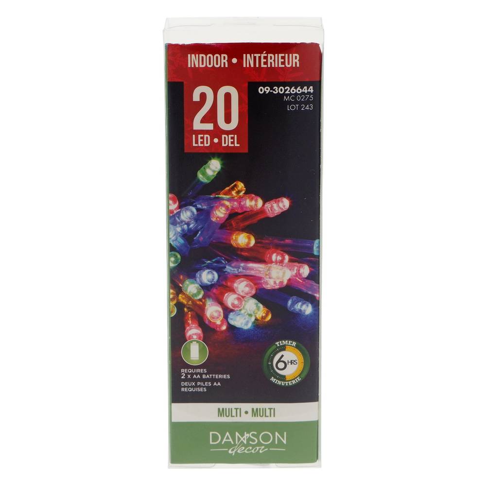 Danson Decor Xmas 20 Led Teeny Light Set With Timer Delivery Near Me ...