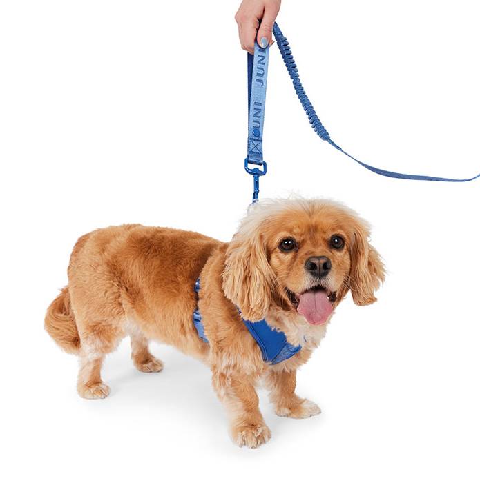 Juni Logo Dog Harness Delivery Near Me | Order Online | Uber Eats