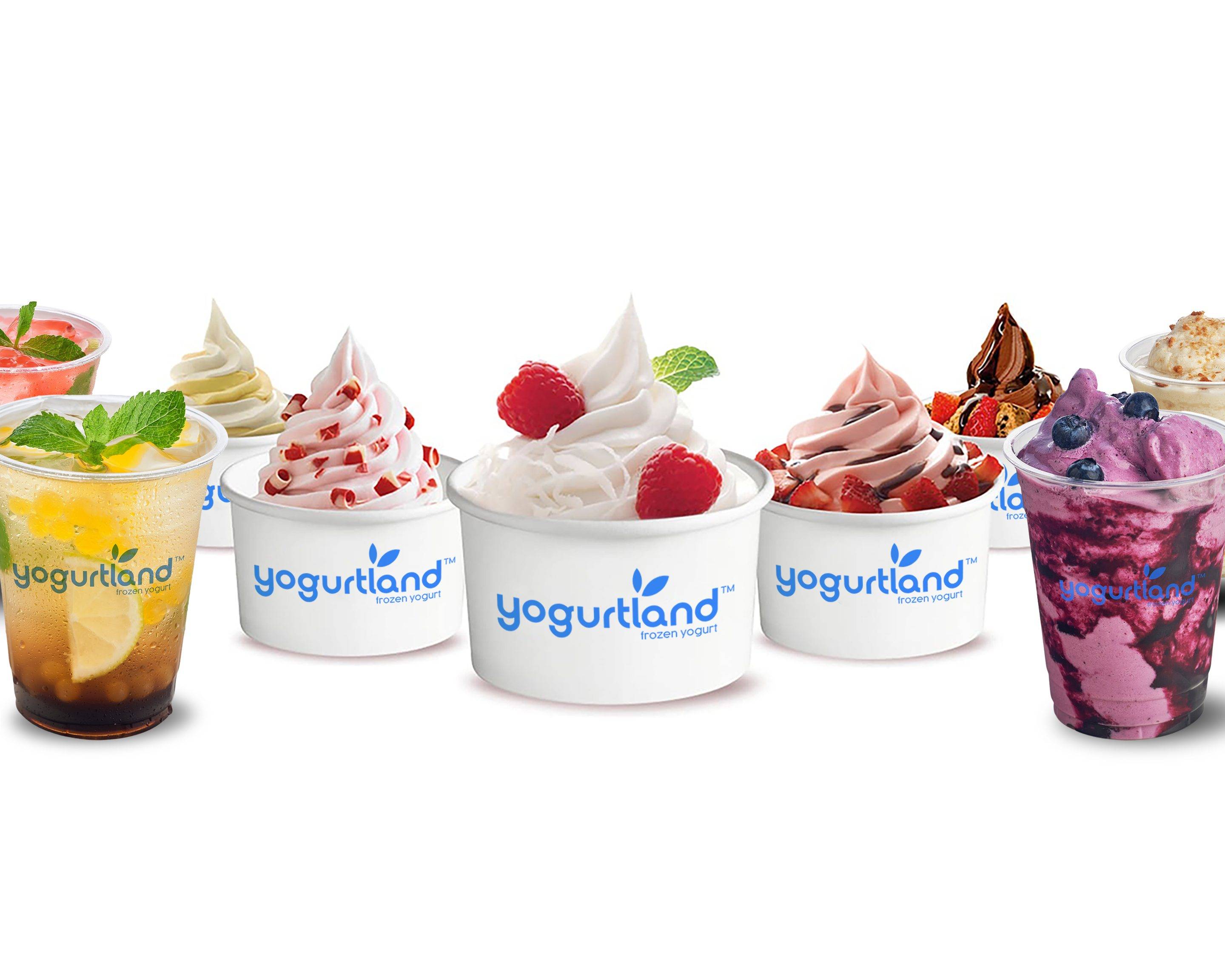 Order Yogurtland®, Clearwater Mall Menu Delivery Online | Johannesburg ...