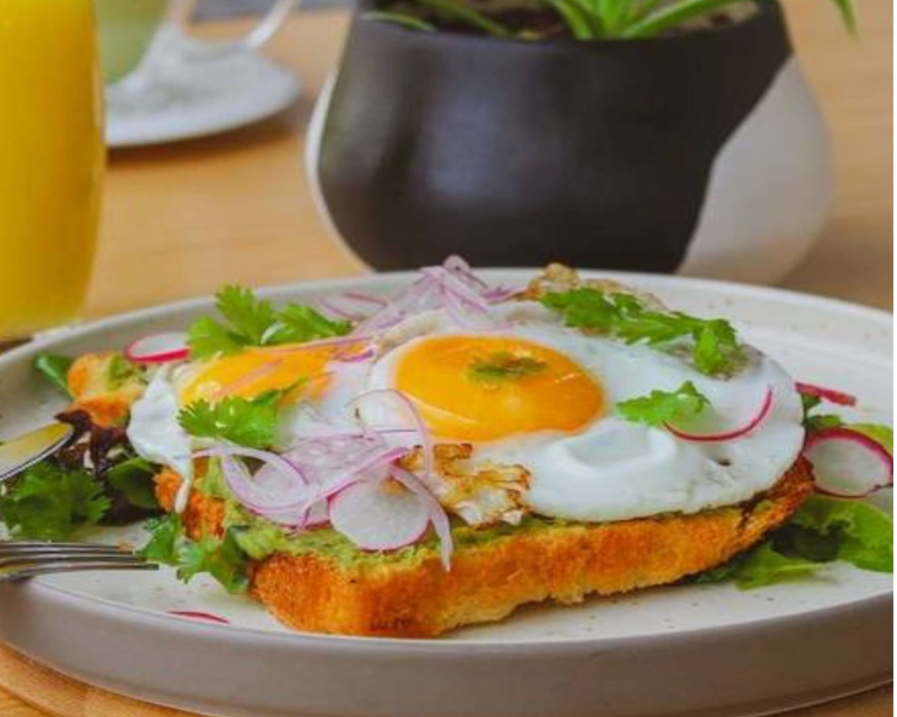 Tostado Coffee & Brunch CENTRO (Merida) Menú a Domicilio【Menú y Precios ...