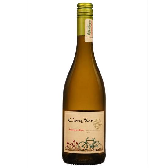 Cono Sur Valle De San Antonio Chile Sauvignon Blanc Wine (750 ml ...