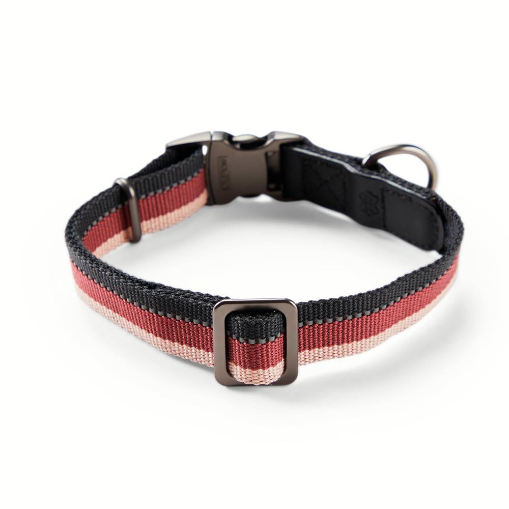 Reddy Collar con broche de metal rayas para perro Delivery Near Me ...