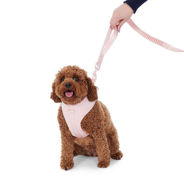 Juni Logo Dog Harness Delivery Near Me | Order Online | Uber Eats
