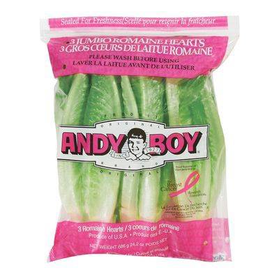 Andy Boy Jumbo Romaine Lettuce Hearts (3 ct) | Delivery Near You | Uber ...