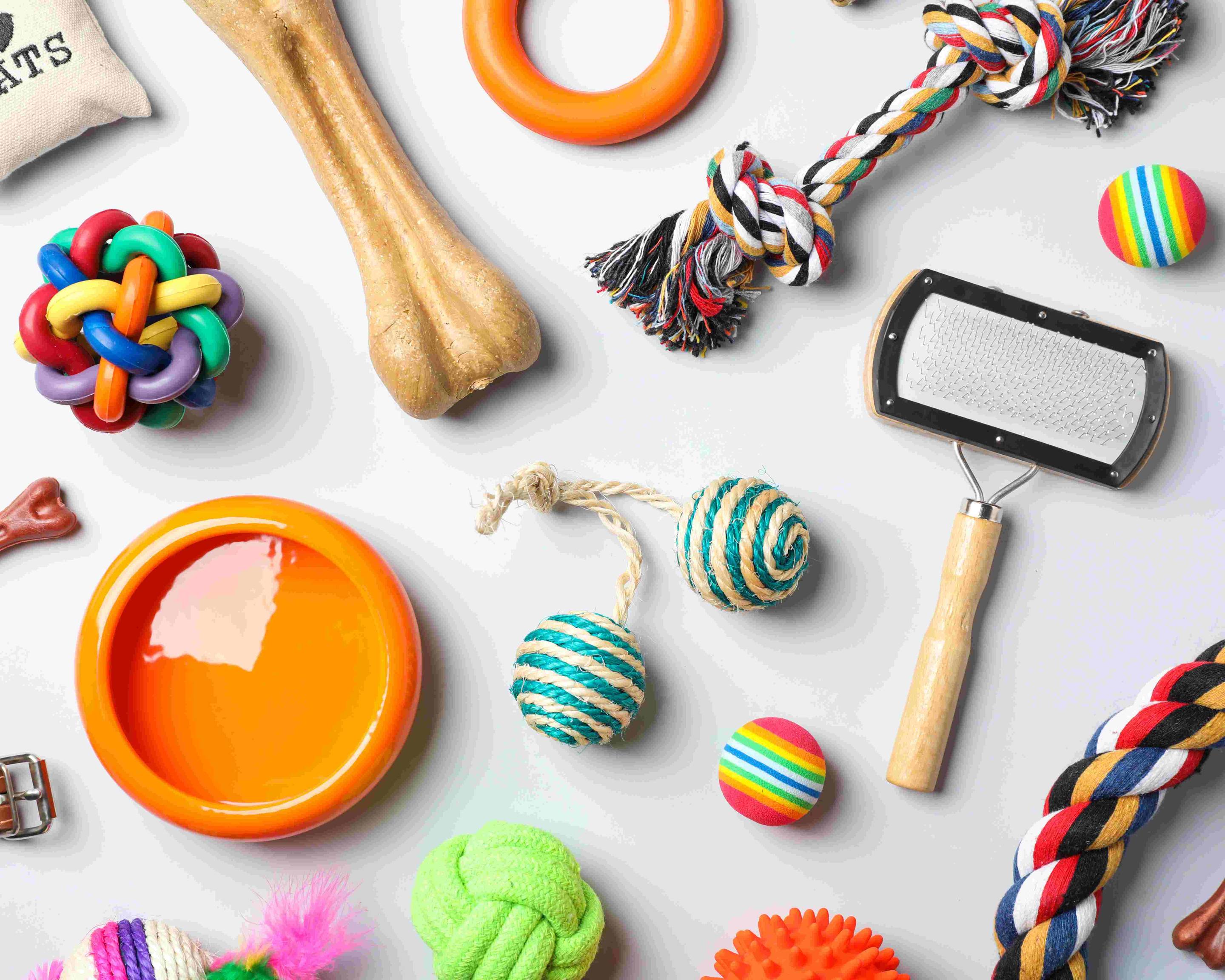 Veterinary Specialty Center Mondo Animale Menú a Domicilio【Menú y ...