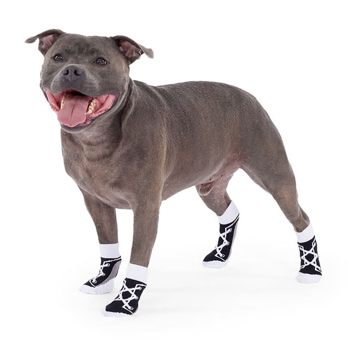 All Day Lace Up Faux Shoe Pet Sock Delivery Near Me | Order Online ...