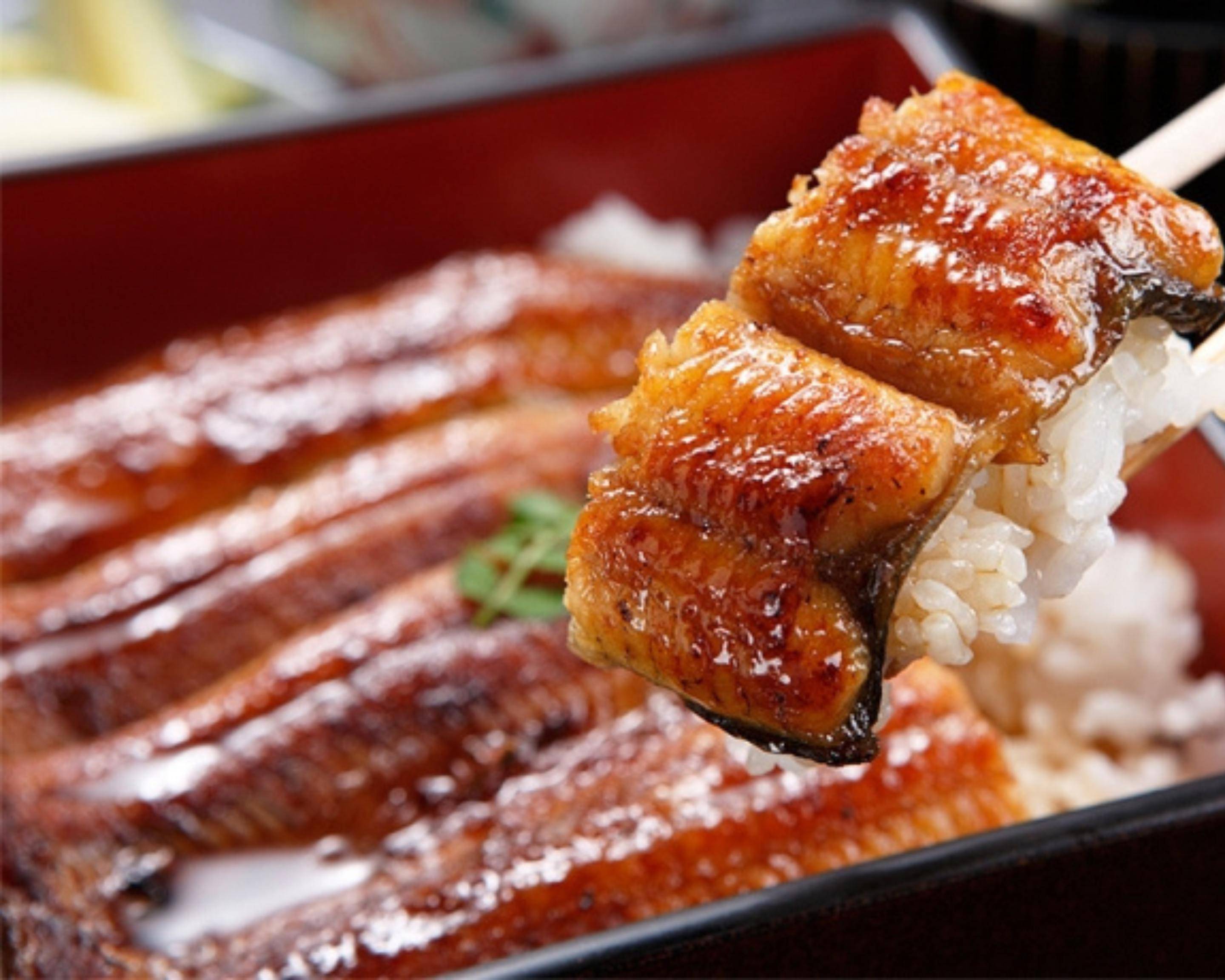 串やら魚やら 居酒屋「どんたかたん」 Kushi&Fish Izakaya DONTAKATANの出前・宅配・テイクアウトメニュー | ウーバーイーツ