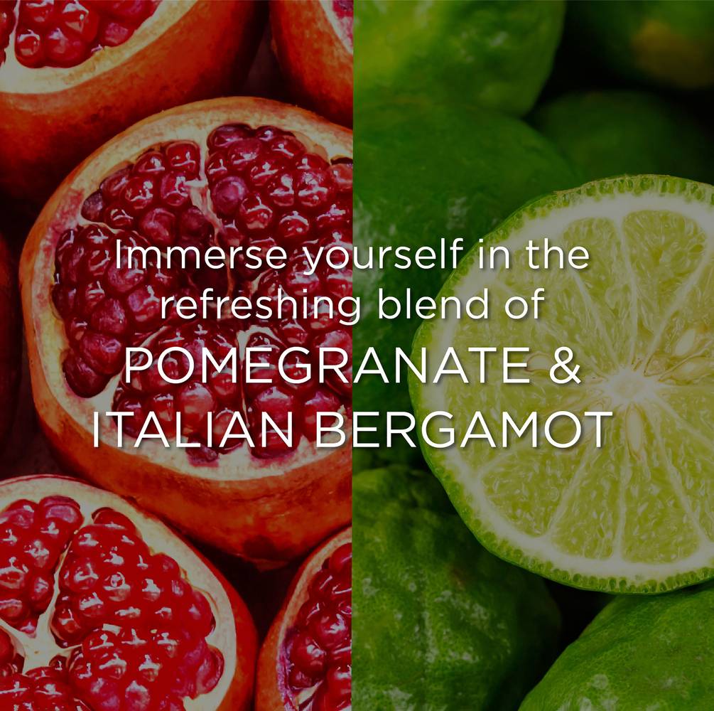 Botanica by Air Wick Botanica Reed Pomegranate & Italian & Italian ...