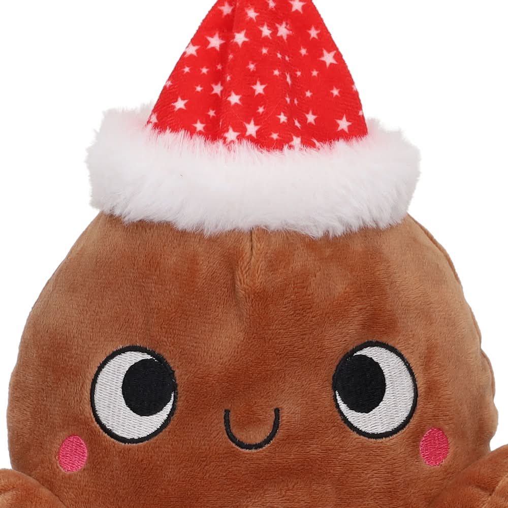 Smart Choice Squeaky Crinkle Plush Turkey Dog Toy Delivery Near Me ...