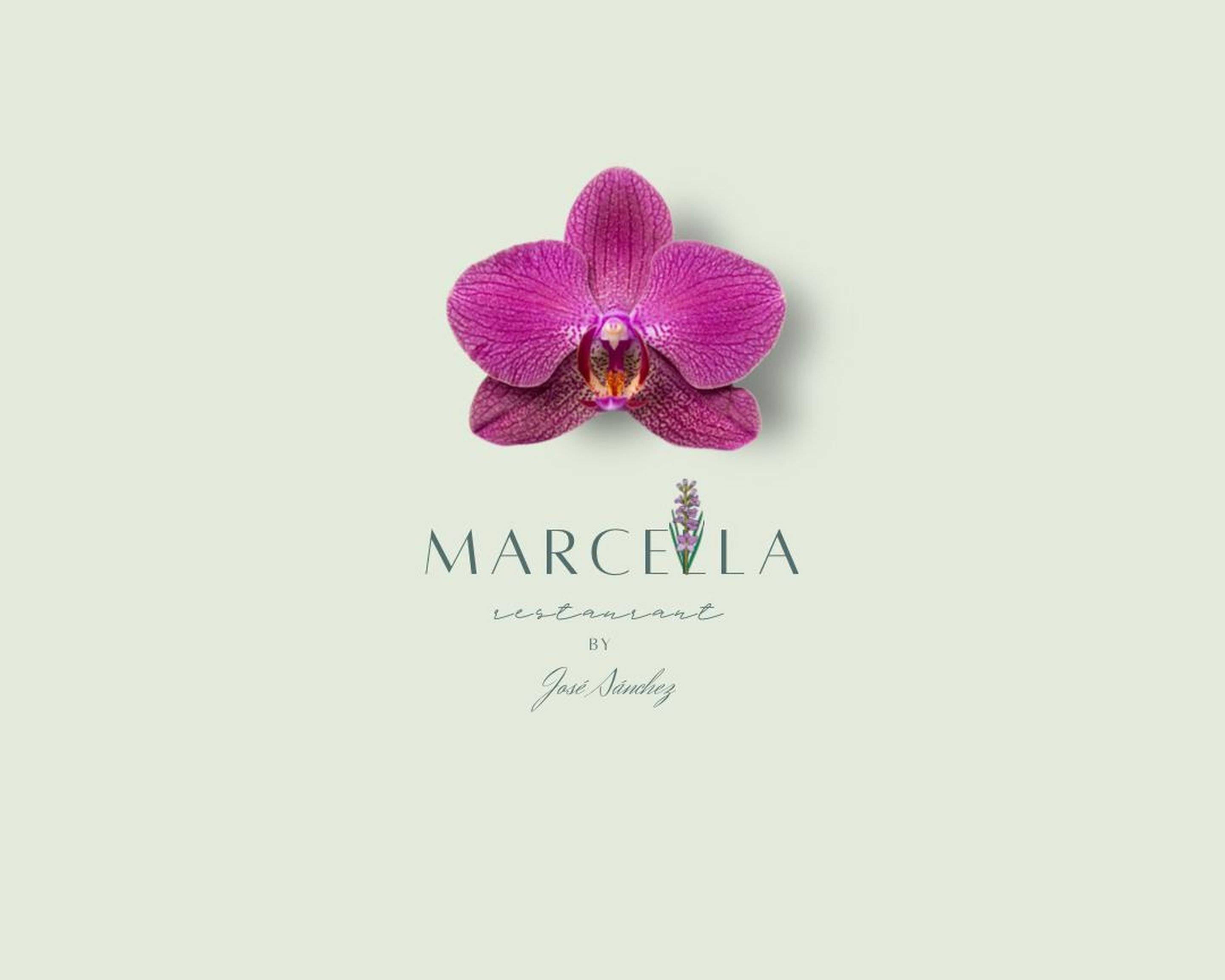 Order Marcella Orquidea Violeta Delivery in San Juan, PR | Menu ...