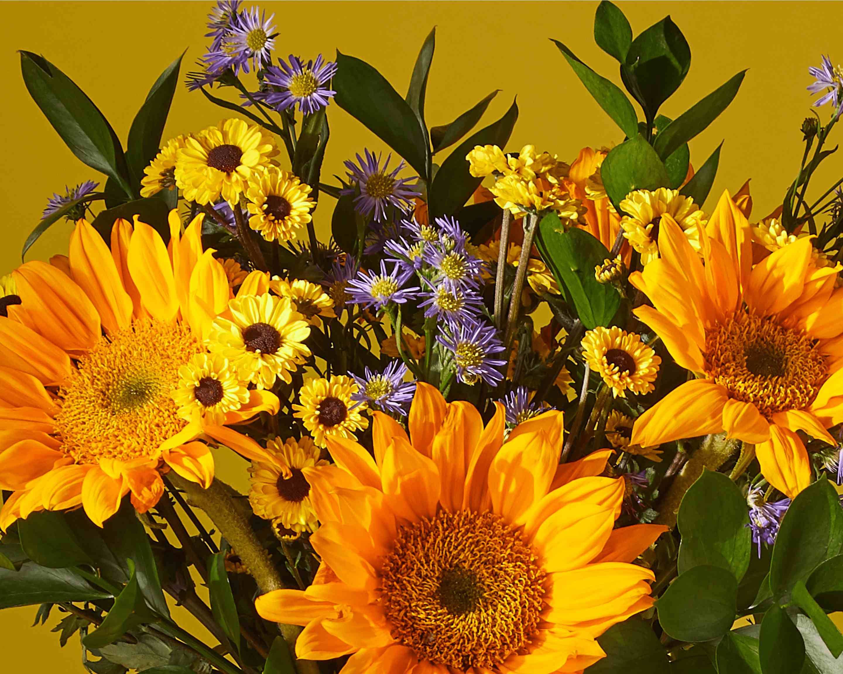 Order ProFlowers (102 GLENWOOD AVE) Menu Delivery Online | Raleigh ...