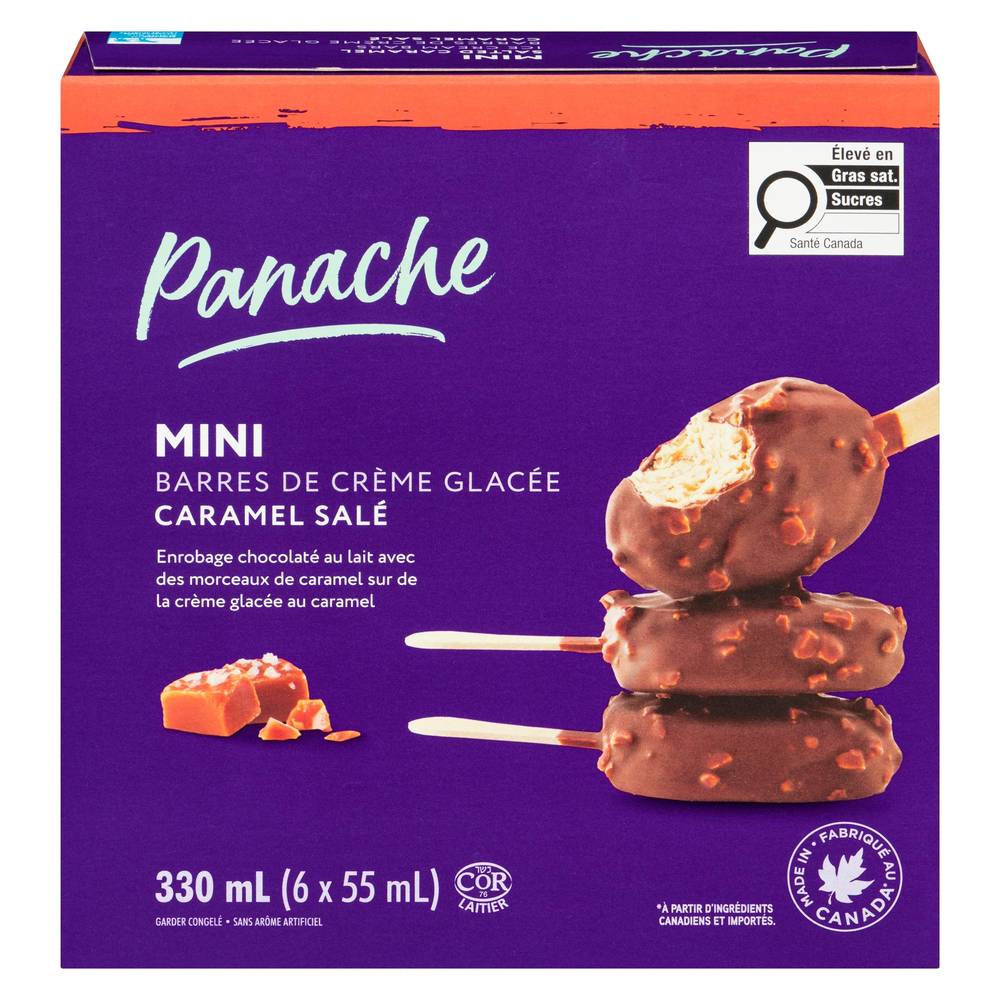 Panache Mini barres de crème glacée - mini ice cream bars Delivery Near ...