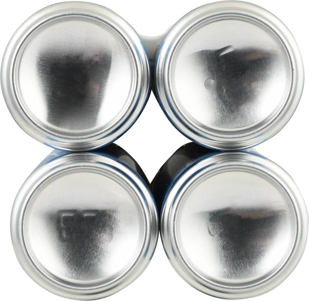 Wild Maine Vodka Seltzer Delivery Near Me | Order Online | Uber Eats