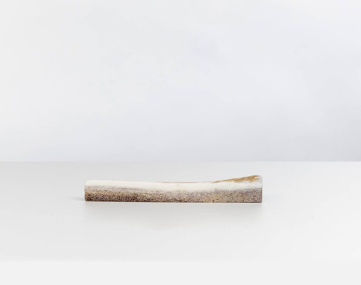 Primal Elk Split Antler (4-5 in) | Postmates