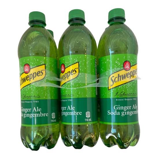 Schweppes Ginger Ale 2 Liter