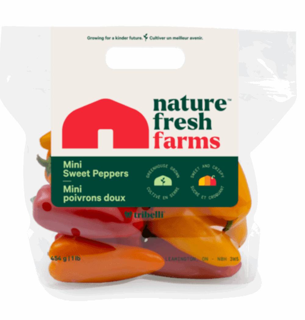 Nature Fresh Farms Mini poivrons doux - mini sweet peppers Delivery ...