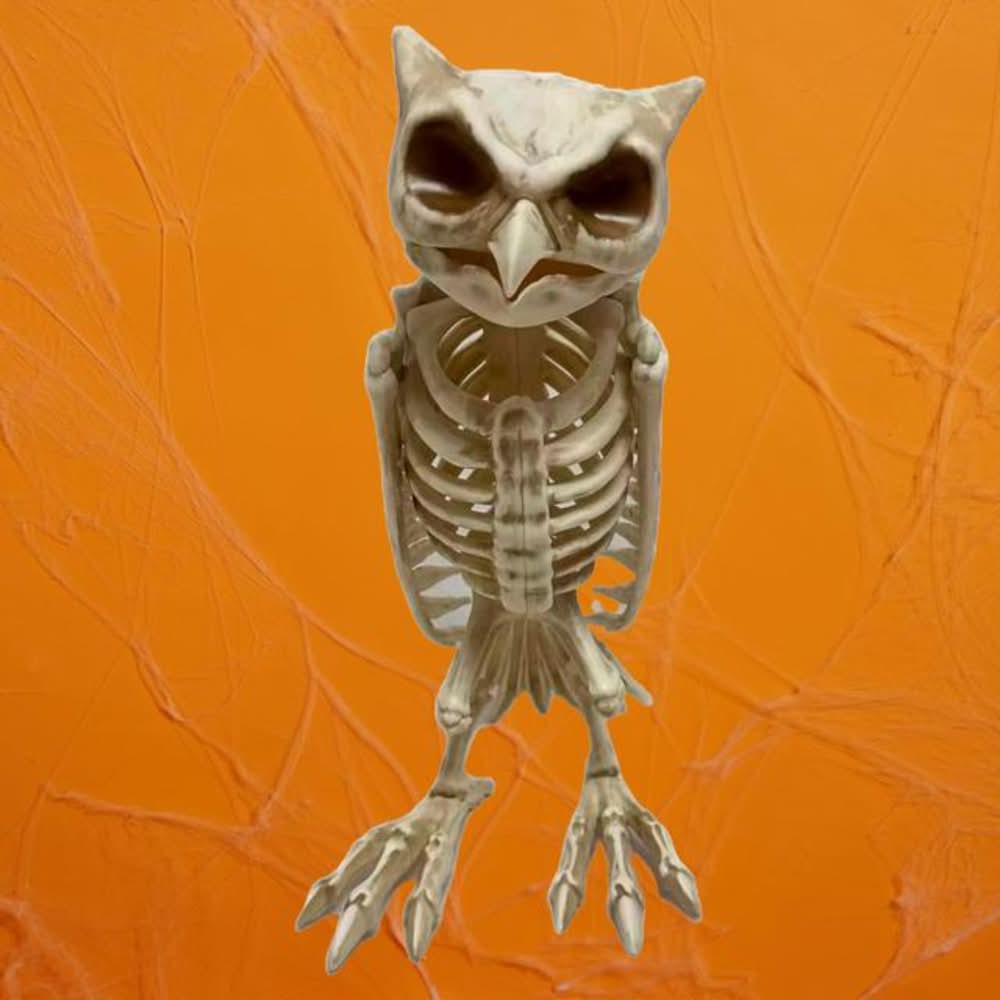 Morrisons Hallowen Owl Skeleton Delivery Near Me | Order Online | Uber Eats