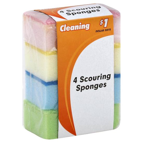 Kingsbridge International Scouring Sponges (4 ct) | Delivery Near You ...