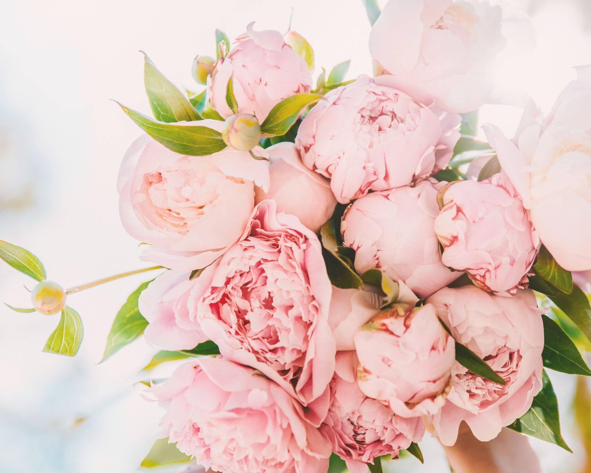 Order Pioneer Flowers - Artesia Menu Delivery【Menu & Prices】| Artesia ...