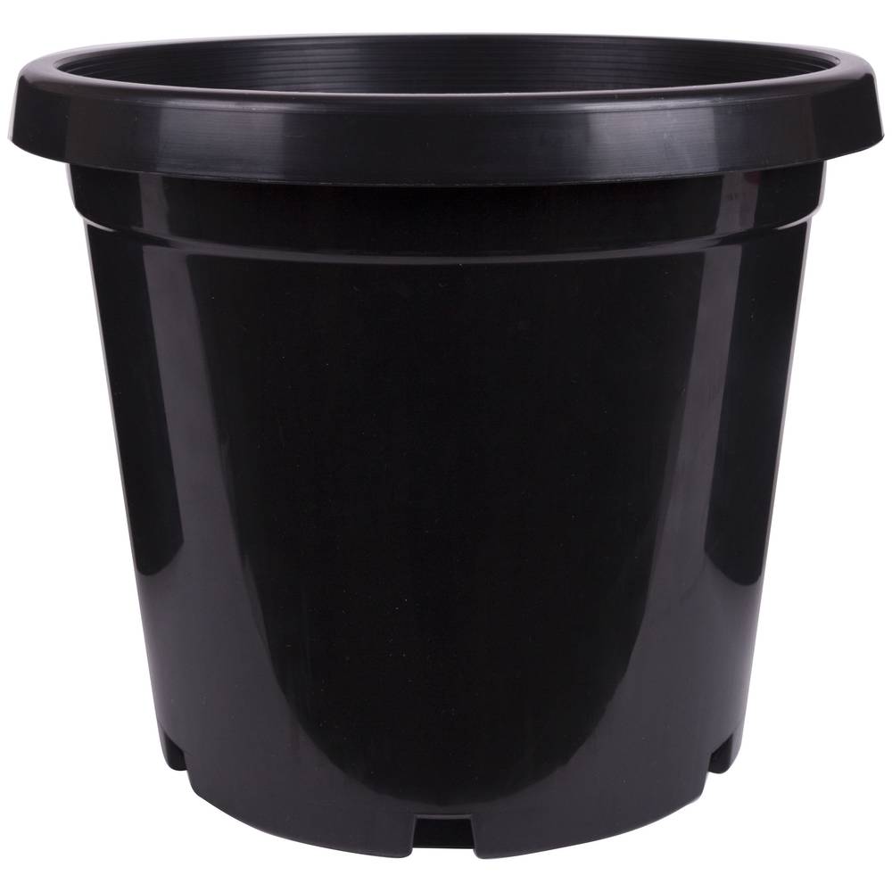 Decor Growers Pot Delivery Near Me | Order Online | Uber Eats