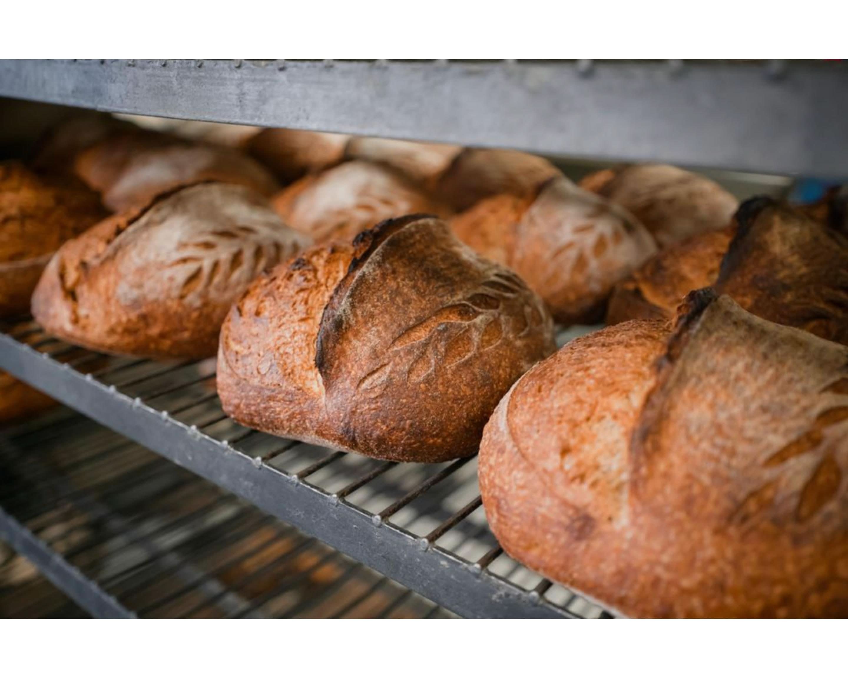 Proof Bread (North Phoenix) Menu Phoenix • Order Proof Bread (North ...