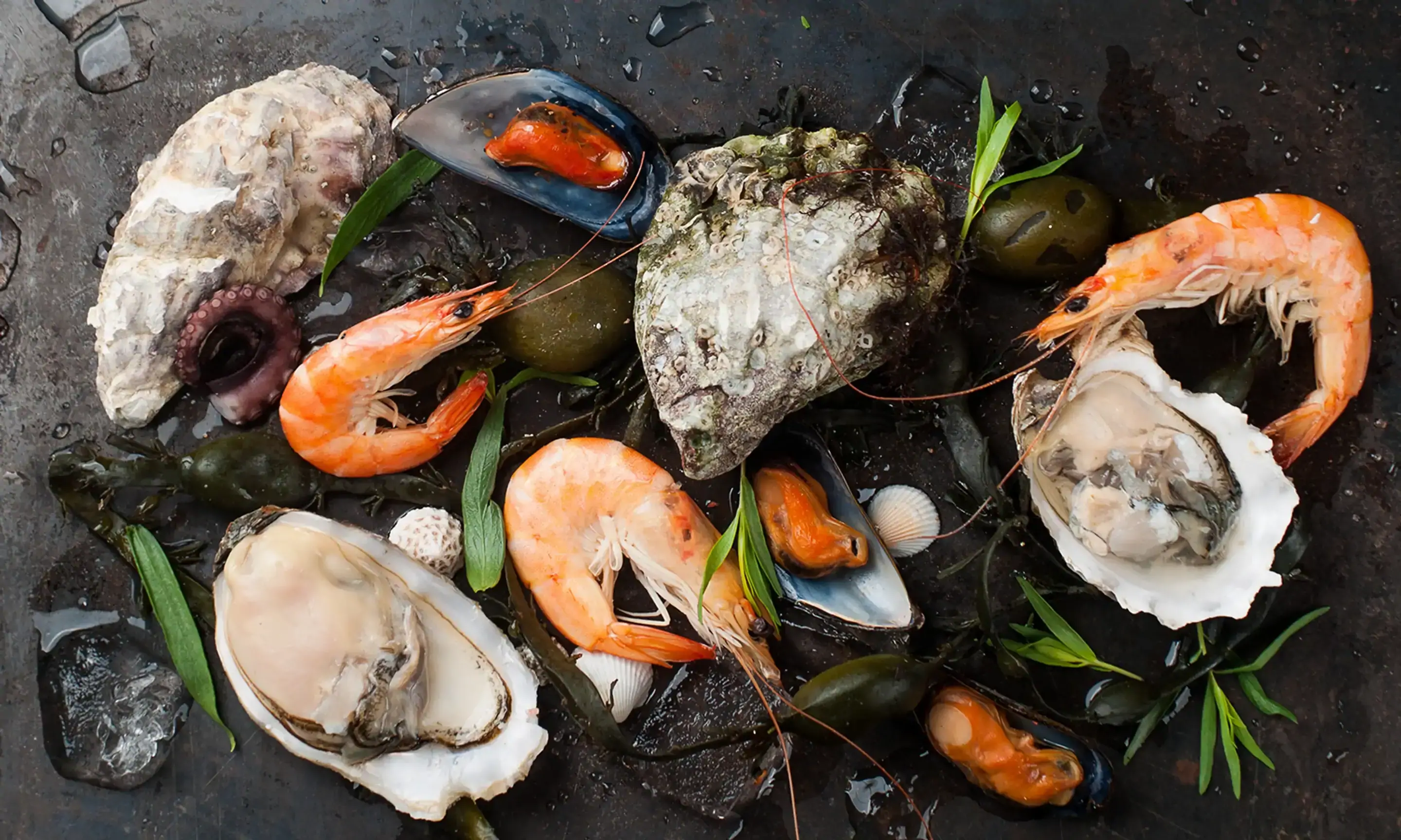 Sakura Grill Menu Gainesville • Order Sakura Grill Delivery Online ...