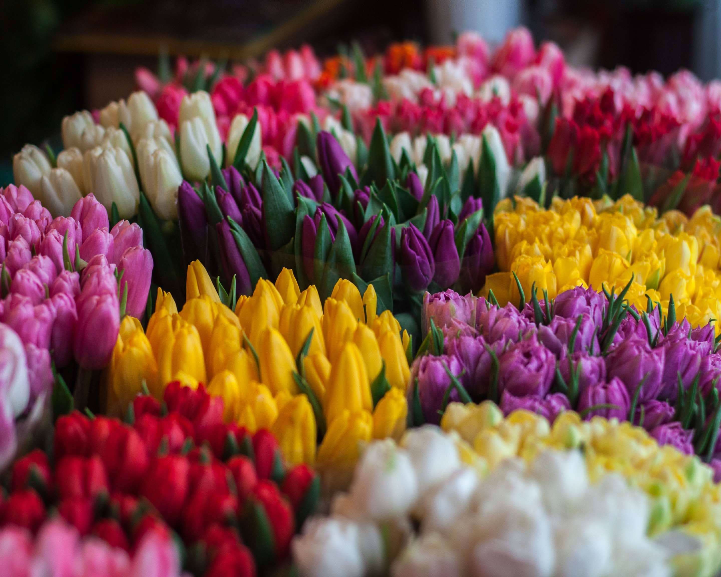 Flowers On The Hill Menu - Takeaway in London | Delivery menu & prices ...