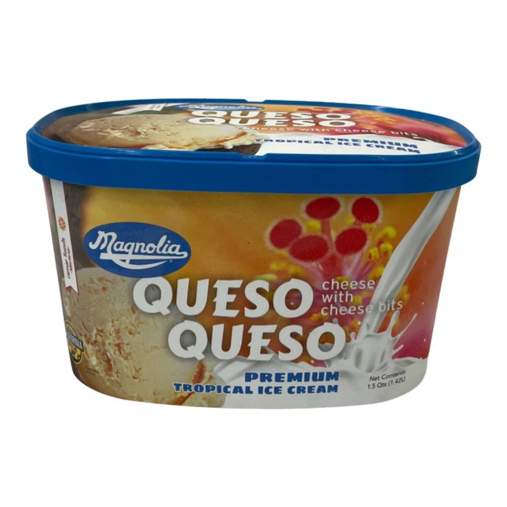 Magnolia Queso Queso Ice Cream (1.5 qt) – Frozen Favorites Delivered ...