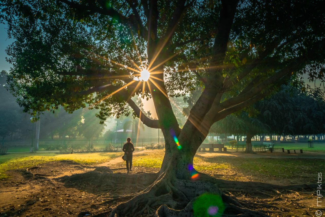 Things to do in Ludhiana