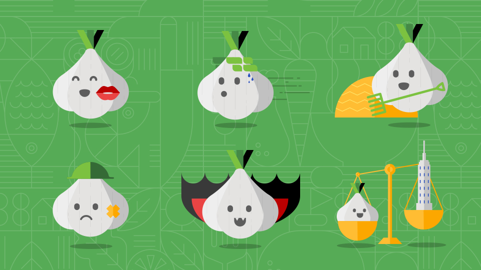 Did you know? The Roots of Garlic History
